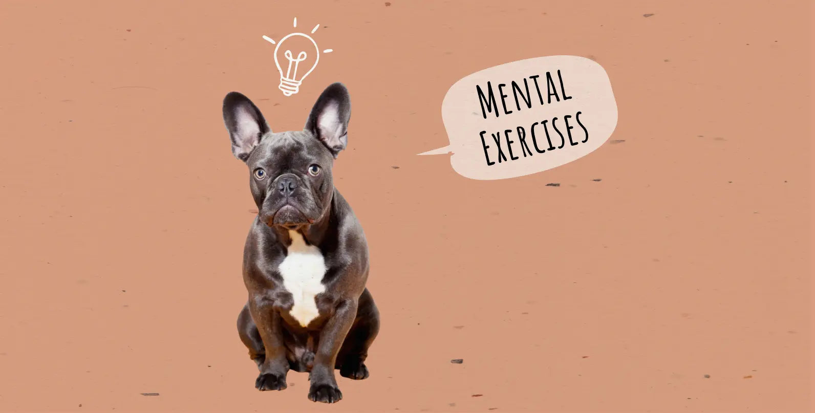 Mental Exercises for Dogs: Stimulate and Engage Your Pet