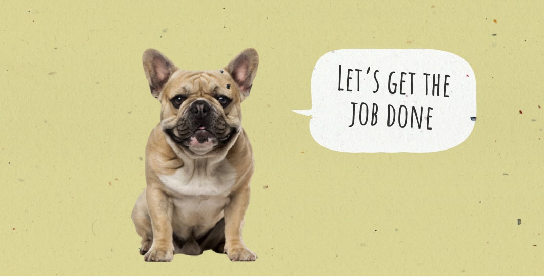 Picking Up Dog Poop: All Your Questions Answered - PooPail.com