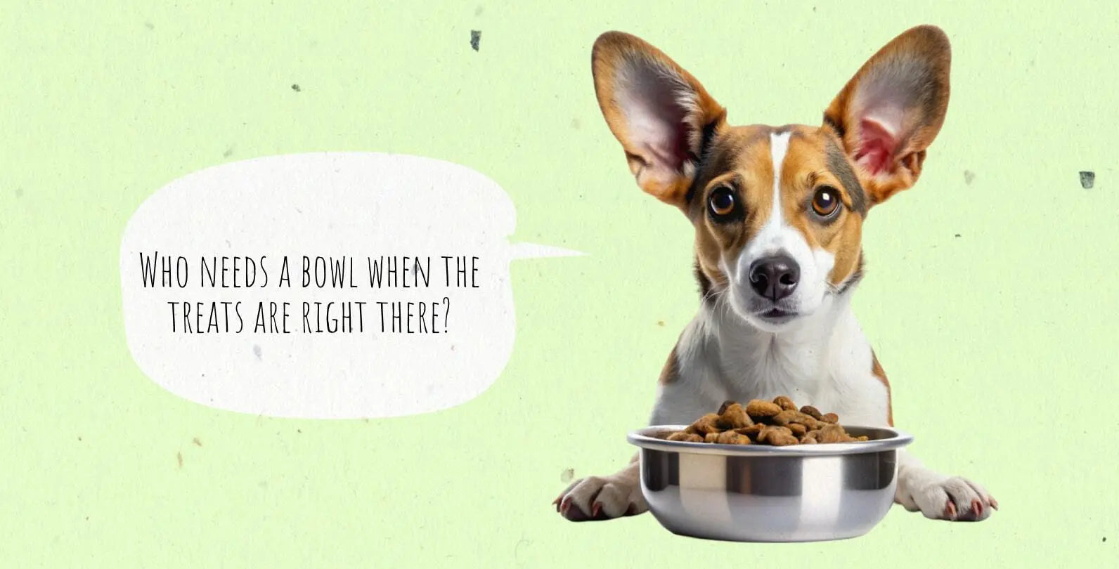 When Dogs Refuse Food but Want Treats: What It Means and What to Do